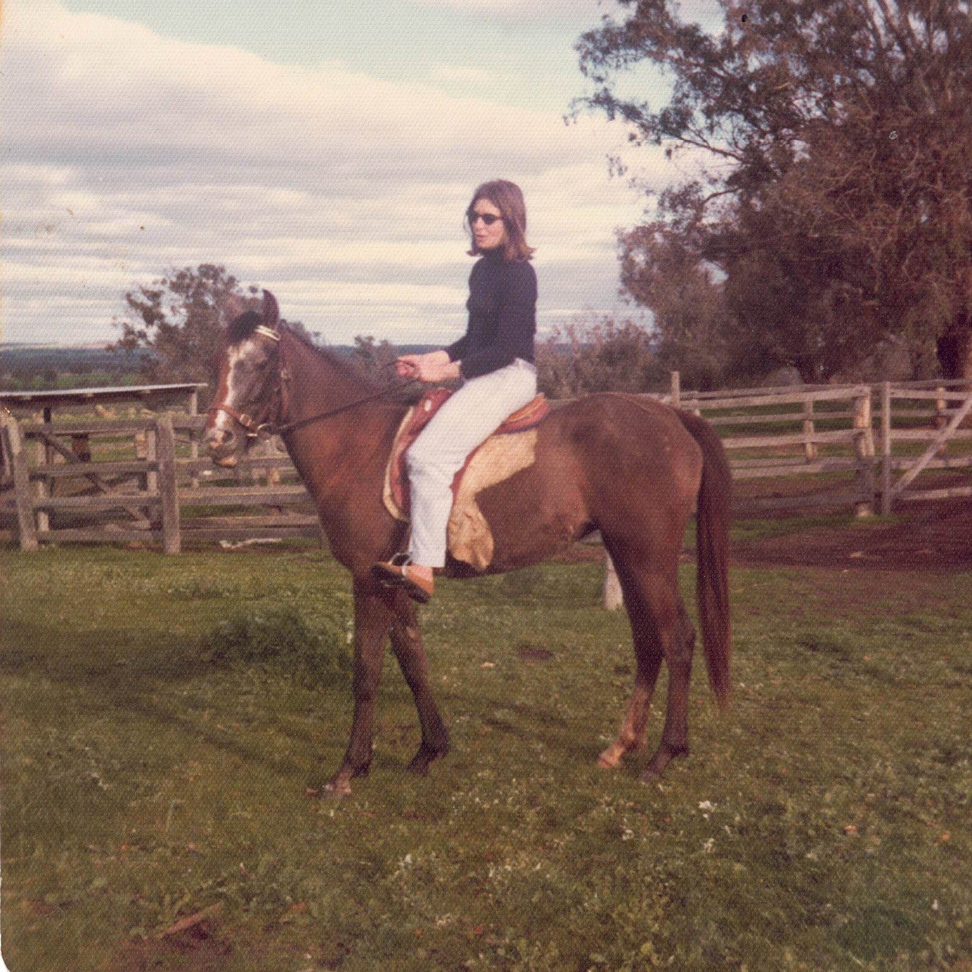 History of Gilly's Waxes & Polishes – Gilly's Australia